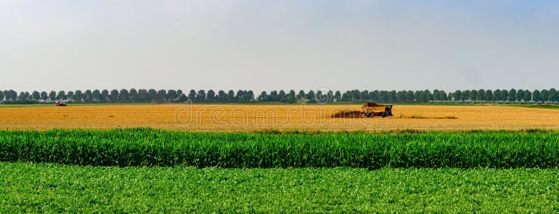 Agricultural Plot Being Fertilized with a Tractor, with Rows of Trees ...