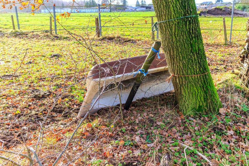 Agricultural Plot with Green Grass and Rusty Tub Leaning on Tree Stock ...