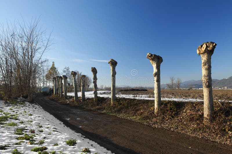 Agricultural road stock image. Image of work, field, corn - 28140511