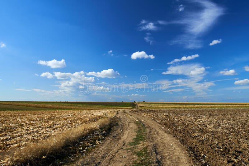 Agricultural Road through Fields Stock Image - Image of scenic, dirt ...