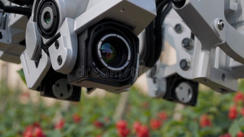 Agricultural Robot Scanning Berries with Optical Sensor Stock Video ...