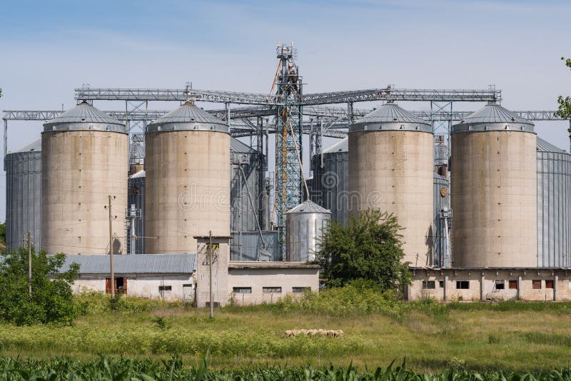 Agricultural Silos of Concrete. Stock Photo - Image of corn, drying ...