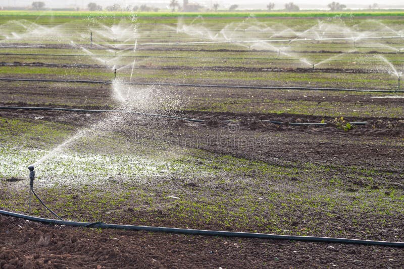 Agricultural sprinklers stock image. Image of field, farmland - 50232035