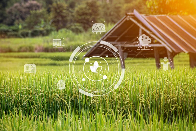 827 Iot Controller Images Stock Photos - Free & Royalty-Free Stock ...