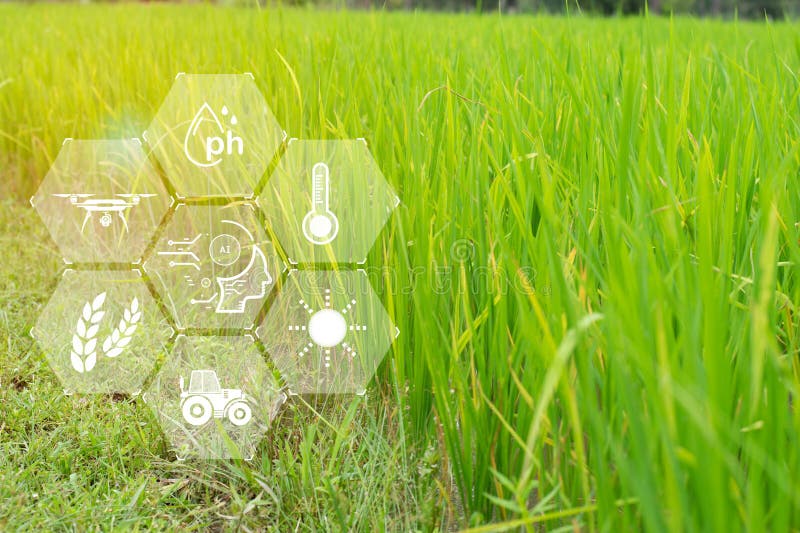 Agricultural Technology Concept Uses AI in Agricultural Reading Reports, Combining Machine ...