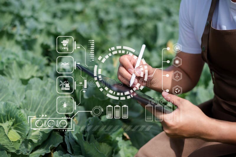 Agricultural Technology Farmer Man Using Tablet Computer Analyzing Data ...