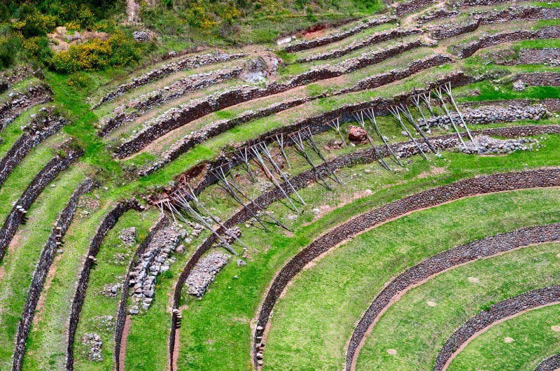 Agricultural Terraces in Moray, Peru Stock Image - Image of crop ...