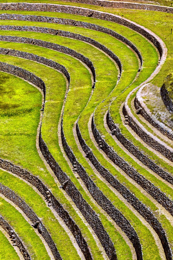 Agricultural Terracing of Moray, Peru Stock Photo - Image of andes ...