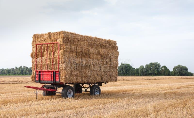 Agricultural Wagon with Straw Packages Stock Photo - Image of cart ...