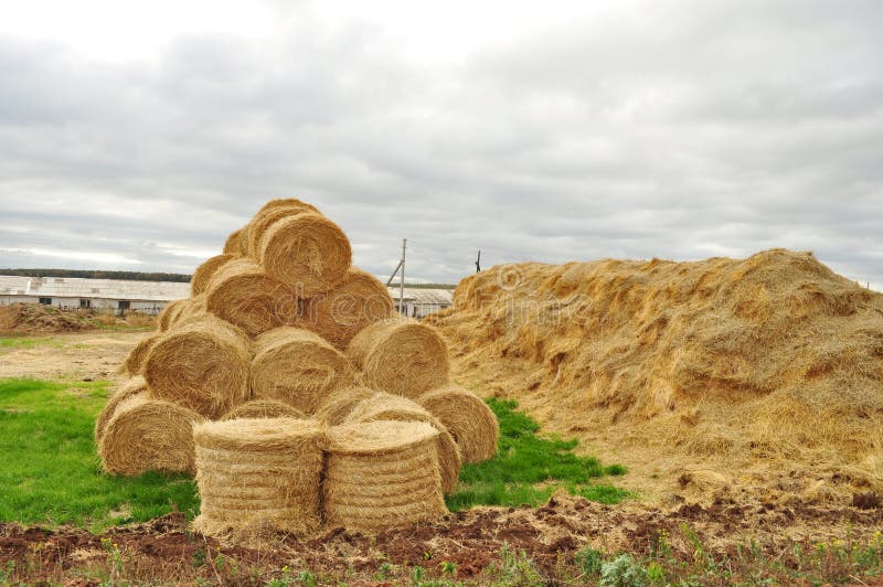 Agricultural Warehouse, Close-up, Horizontal Stock Image - Image of ...