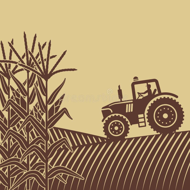 Corn Fields Drawing
