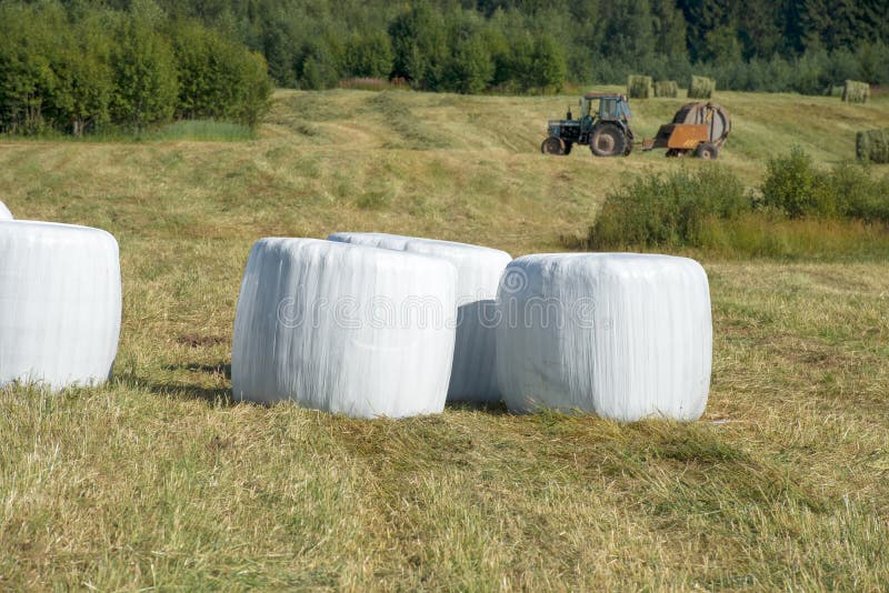 Agricultural work stock photo. Image of fodder, field - 60963552