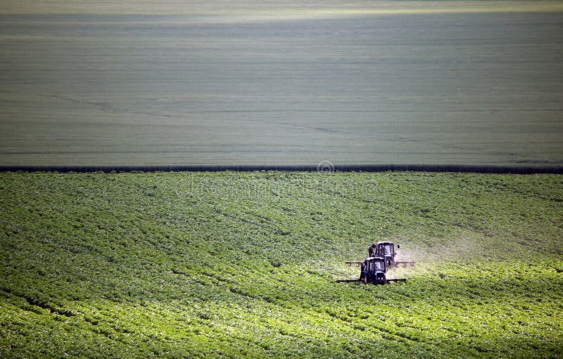 Agricultural Works, Two Tractors Weeding Field Stock Image - Image of ...