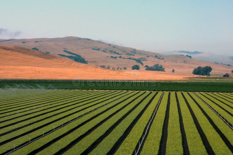 Agriculture stock photo. Image of west, rural, crops - 11209062