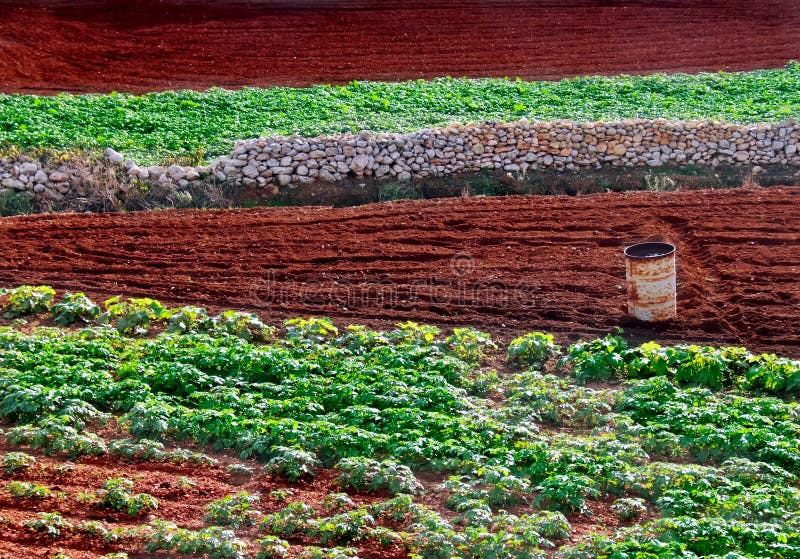 13,680 Mediterranean Soil Stock Photos - Free & Royalty-Free Stock ...