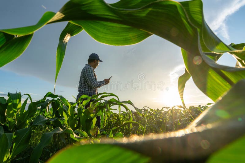 Agriculture, Agriculturist Utilize the Core Data Network in the ...