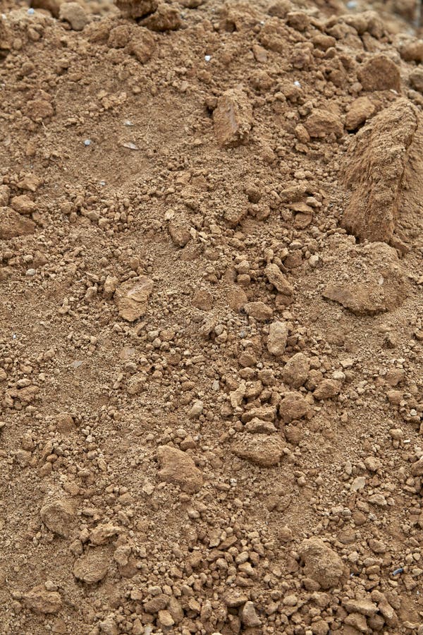 Agriculture Au Sol Organique Image stock - Image du environnement ...