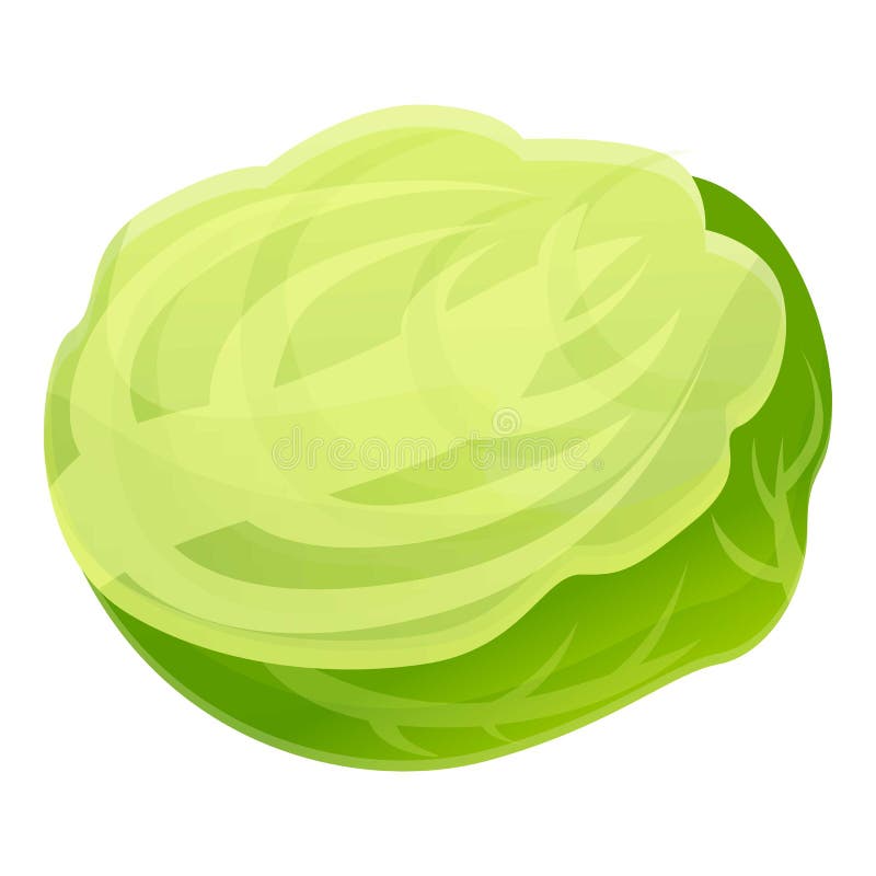 Cooking Cabbage Icon, Cartoon Style Stock Vector - Illustration of ...