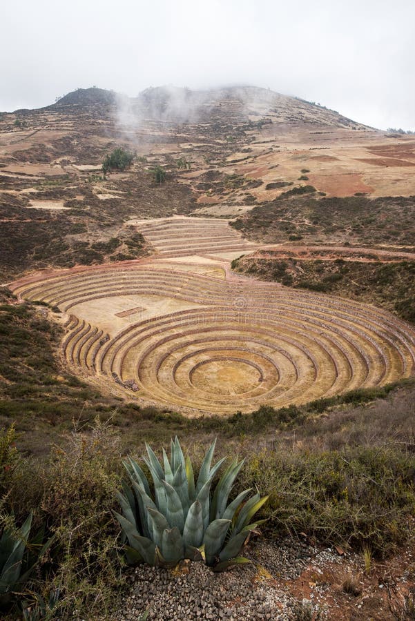Agriculture Circular Terraces at Moray Peru Stock Photo - Image of ...