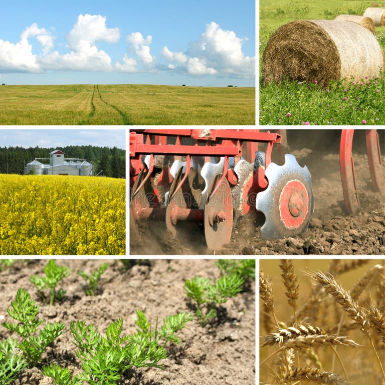 14,461 Agriculture Collage Stock Photos - Free & Royalty-Free Stock ...