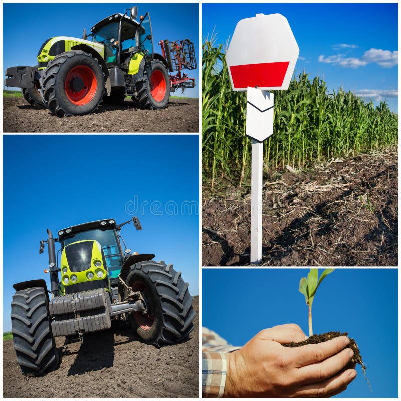 Collage of farming stock photo. Image of grazing, agriculture - 31044314