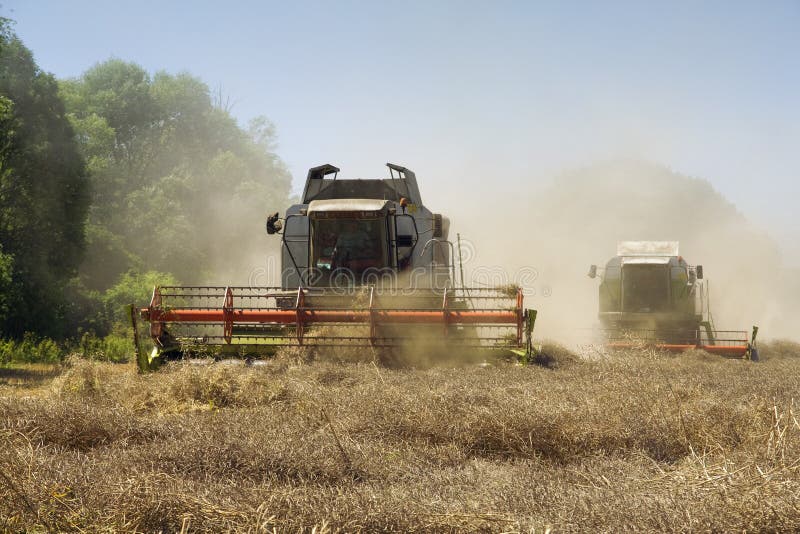 Agriculture - Combines stock image. Image of combines - 9378577