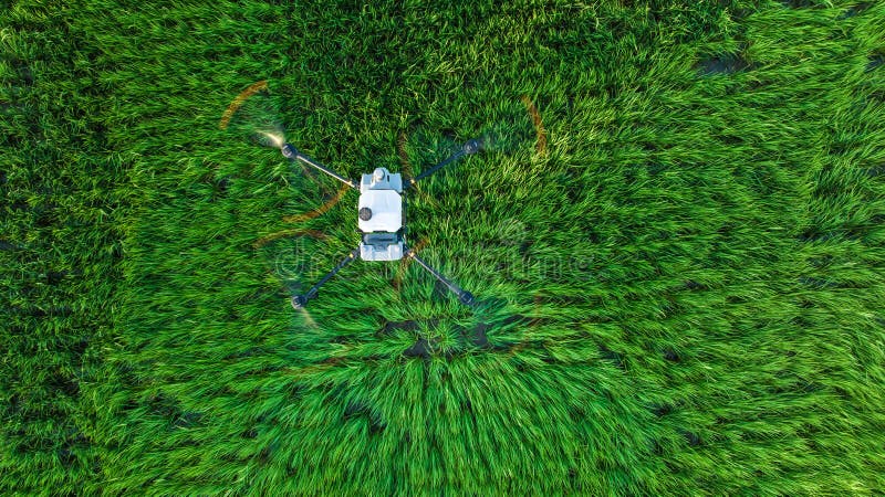 Agriculture Drone Flying and Spraying Fertilizer and Pesticide Over ... Agriculture Drone Flying and Spraying Fertilizer and Pesticide Over ...
