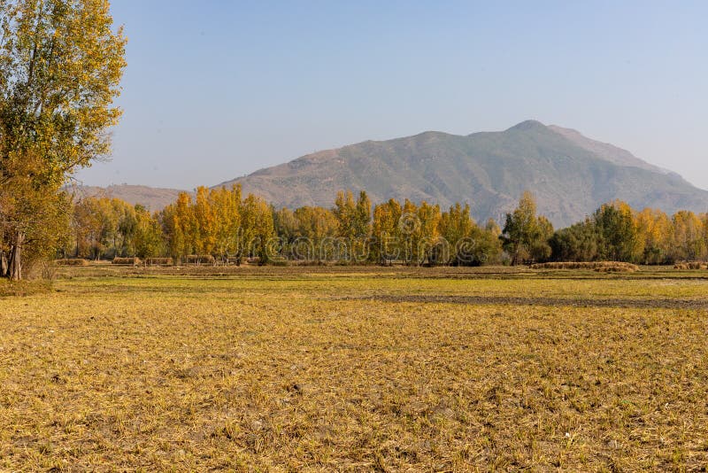 Agriculture Empty Fields in Winter Stock Image - Image of background ...