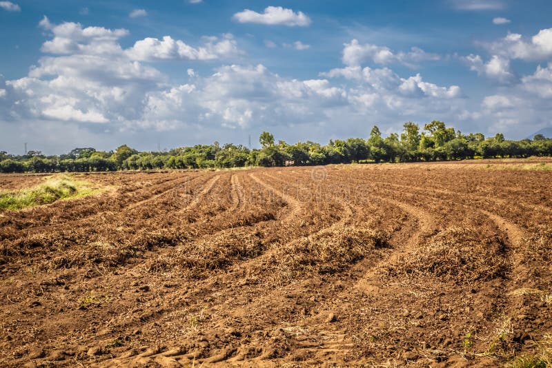 Agriculture, Empty Worked Field View Stock Image - Image of outdoor ...