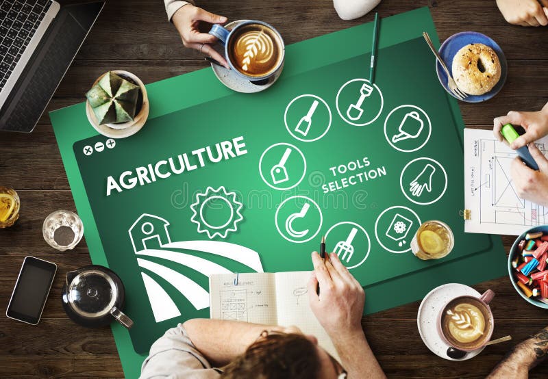 Agriculture Farm Crops Production Plants Concept Stock Image - Image of ...