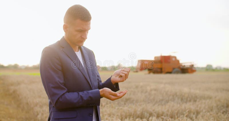 Businessman Checking Pie Diagrams and Taking on Call Stock Footage ...