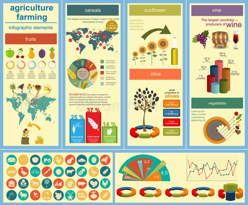 Agriculture, Farming Infographics Stock Vector - Illustration of chart ...