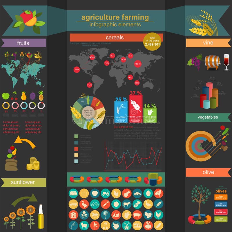 Agriculture, Farming Infographics Stock Vector - Illustration of corn ...
