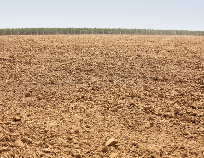 Agriculture Field Ready for Sowing Seeds Stock Photo - Image of dirt ...