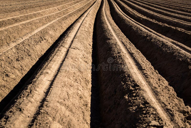 AGRICULTURE stock image. Image of topsoil, husbandry - 318839383