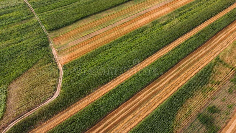 Agriculture Field Texture Aerial View Stock Photo - Image of clouds ...
