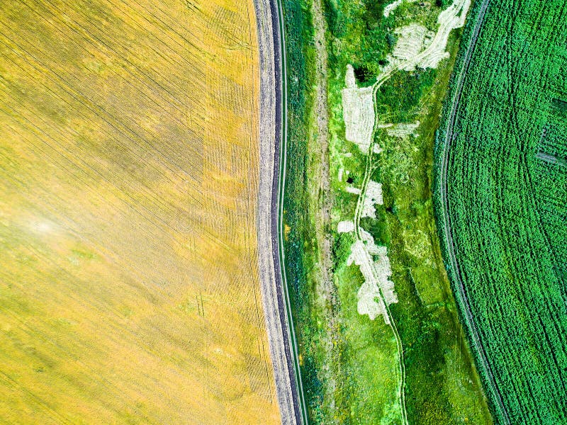 Agriculture Fields from Above Stock Image - Image of cereal ...
