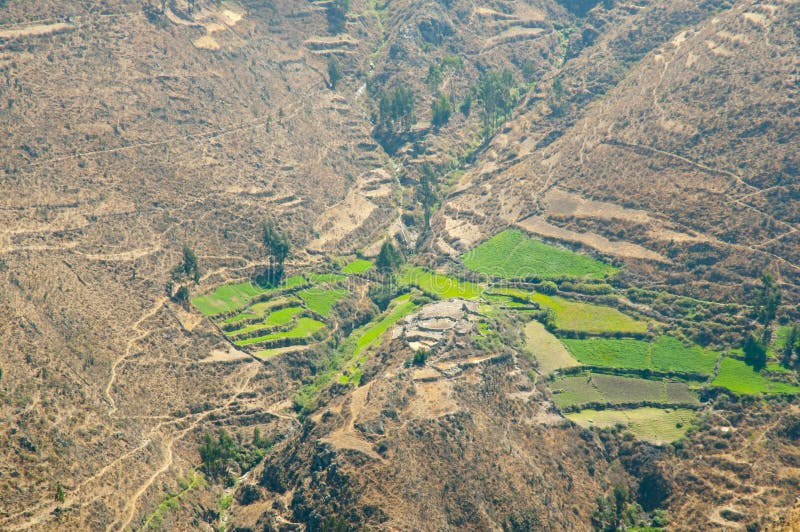 Farming Fields In The Andes Stock Photo - Image of nature, travel: 24109330