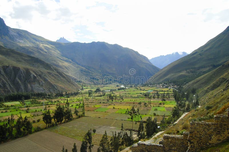 Agriculture Fields stock photo. Image of organic, nature - 109969094