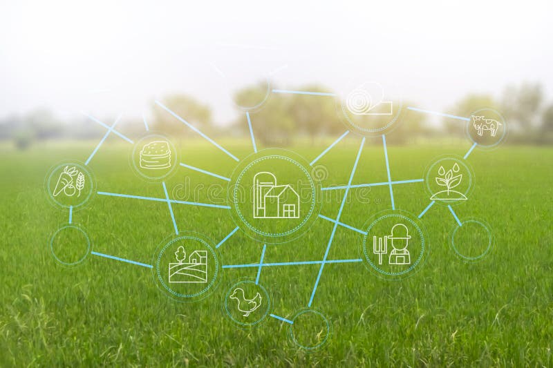 Agriculture and the Food Industry in Food Production and the Use of ...