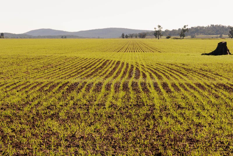 Harrowed Paddock Stock Photos - Free & Royalty-Free Stock Photos from ...