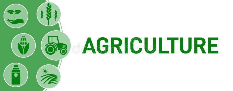 Agriculture Illustration Background Stock Vector - Illustration of ...