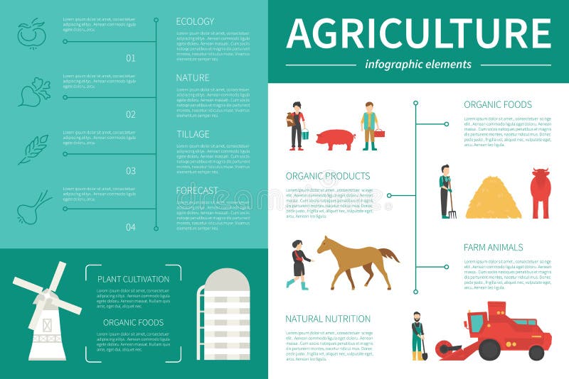 Agriculture Infographic Flat Vector Illustration. Presentation Concept ...