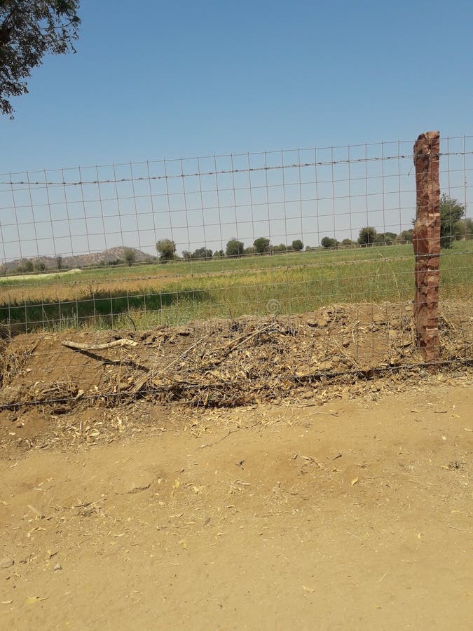 Dadai Stock Photos - Free & Royalty-Free Stock Photos from Dreamstime