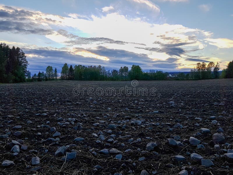 Agriculture in Norway. stock image. Image of norway, levanger - 36219295