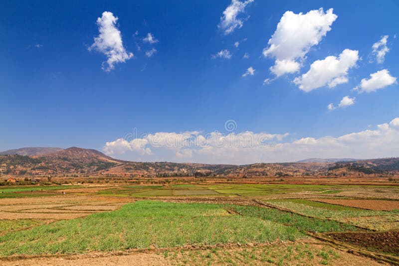 Agriculture Madagascar stock image. Image of malagasy - 41894347