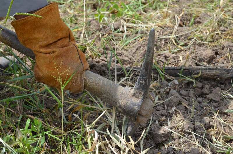 Agriculture stock image. Image of land, worker, grow - 58940883