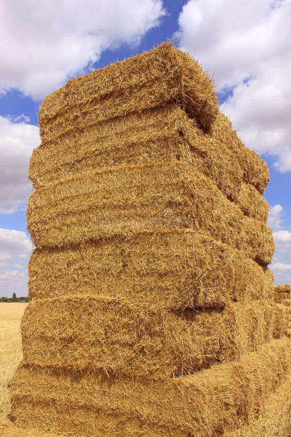 Haystack stock photo. Image of agriculture, stack, ecology - 27836490