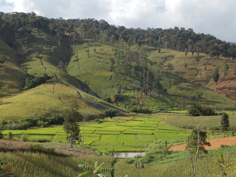 Agriculture on the Mountain Stock Photo - Image of agriculture ...