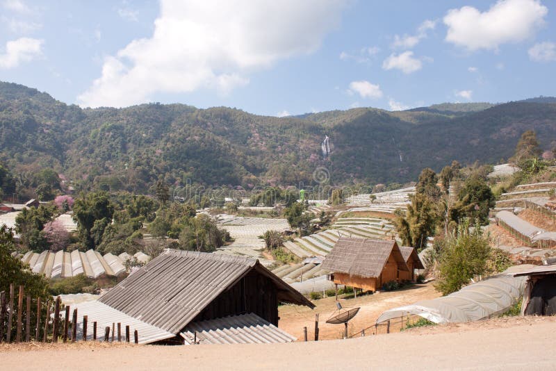 Agriculture on the Mountains. Stock Photo - Image of bali, green: 24079566